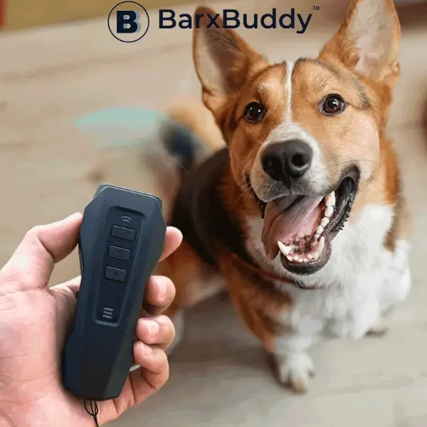 Top 5 Anti-Barking & Dog Training Devices of 2025 – TOP5WORK